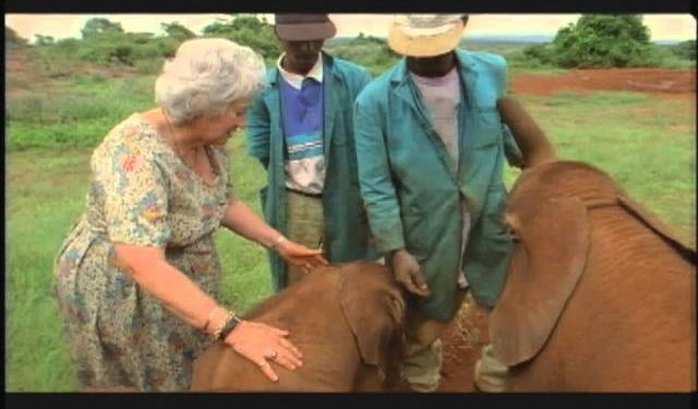 They call her “The Elephant Queen” and her story is so heartwarming ...